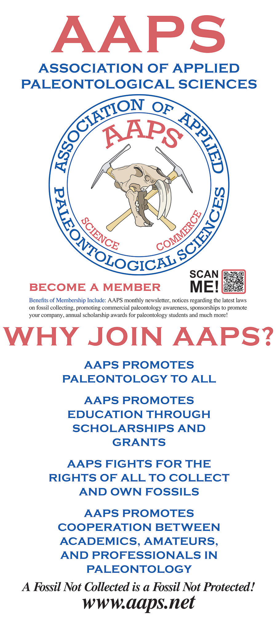 Newsletter of the Association of Applied Paleontological Sciences